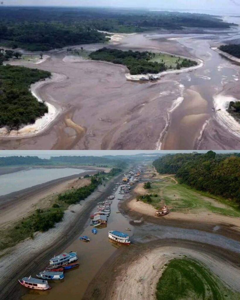 ¿El río Amazonas se está secando? - El Expreso
