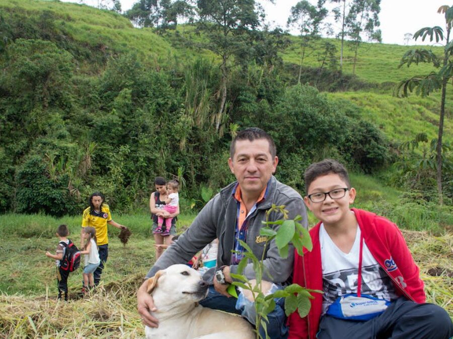 Conociendo a los habitantes de Risaralda: El fascinante Guatín ...