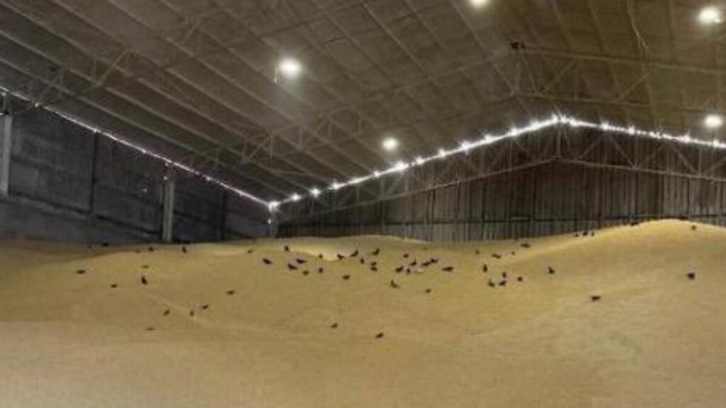 Gobierno publica imágenes del estado del muelle 13 de Buenaventura en ...