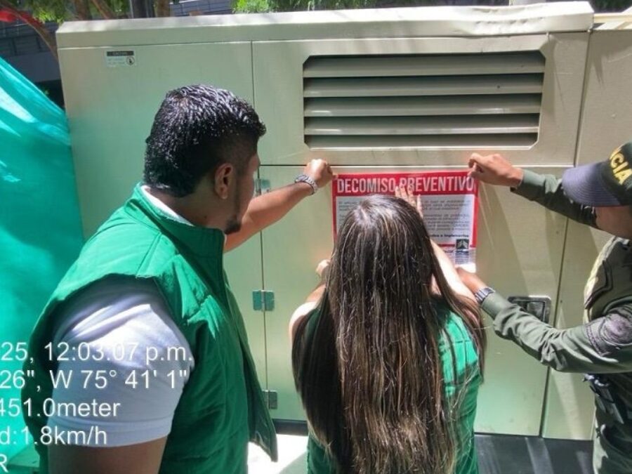 Conociendo a los habitantes de Risaralda: El fascinante Guatín ...